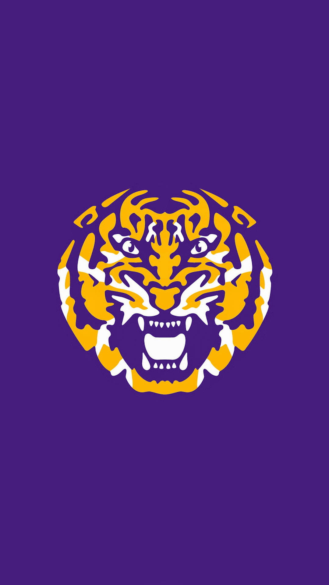 OTC Sports | Baseball | Louisiana Tigers / 8U-AA